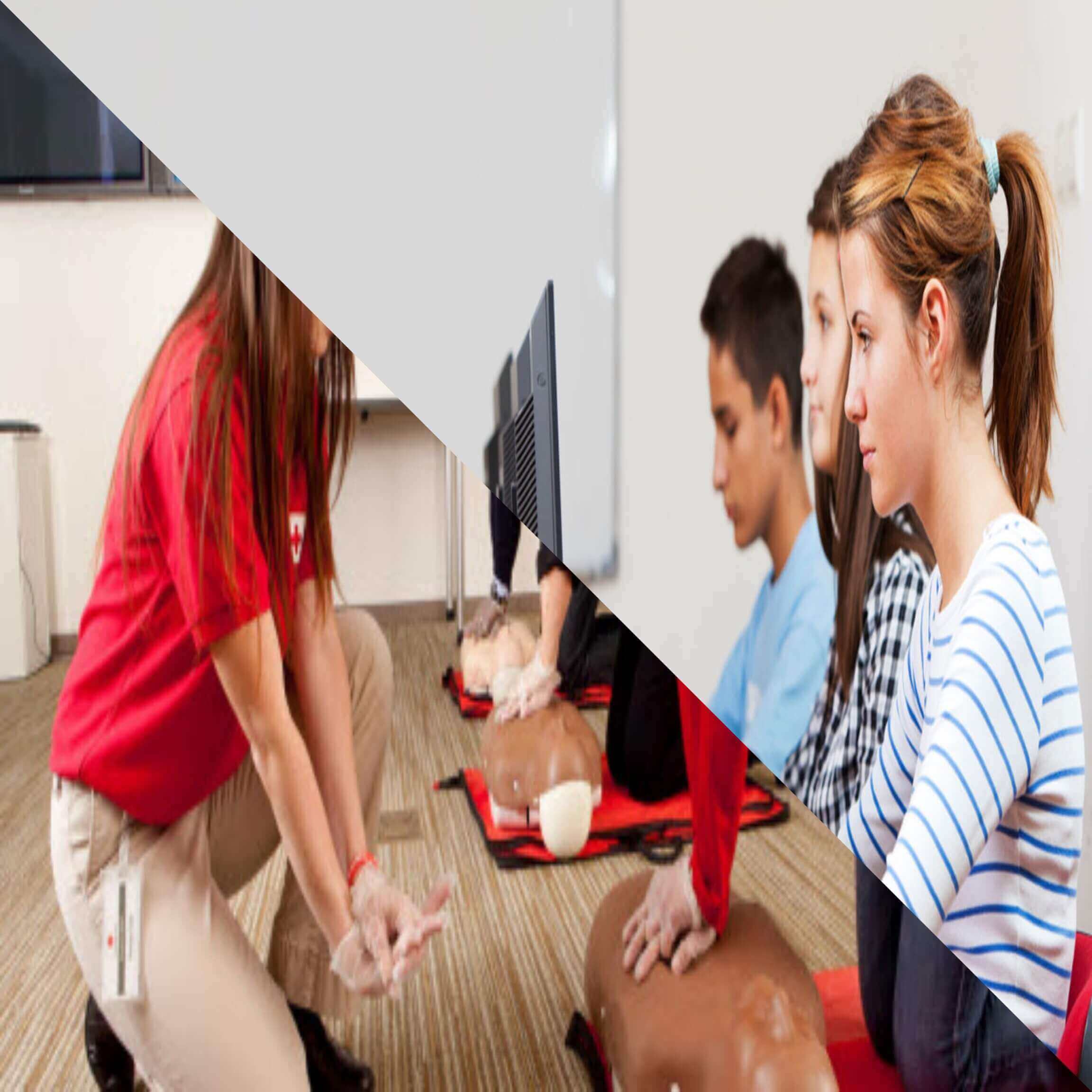 Canadian Red Cross Standard First Aid Recertification Courses In